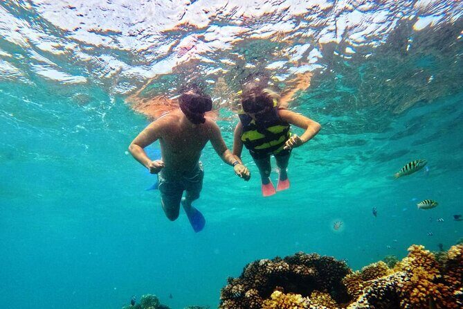Ride & Slide by South Sea Cats - Half Day Snorkelling Trip - Frequently Asked Questions