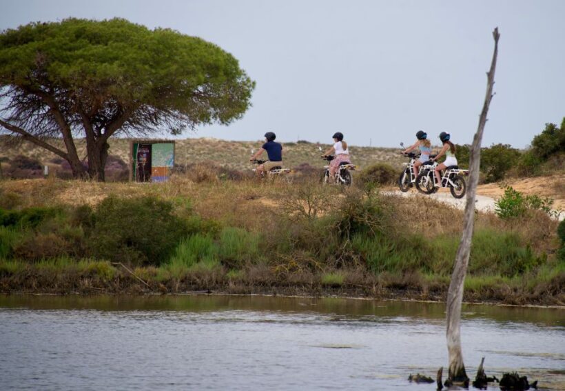 Ride the Day Away: Easy & Affordable E Motor Bike Rentals - The Sum Up