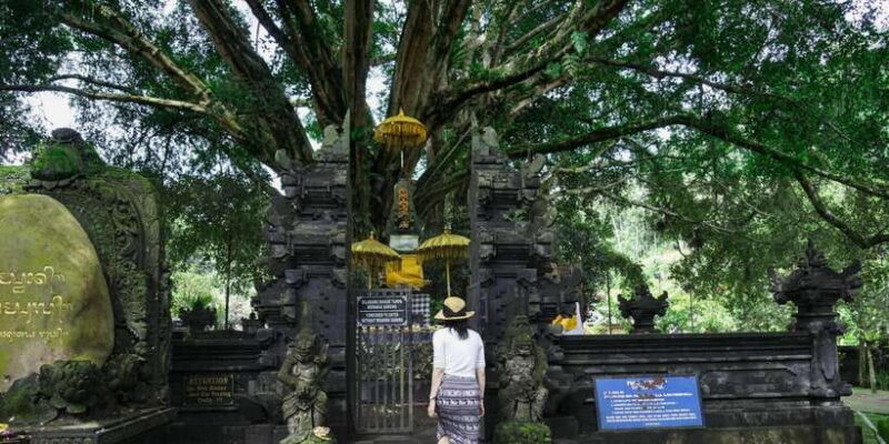 Ride the Wild: Bali ATV Expedition & Jungle Safari Adventure - Who Would Love This Tour?