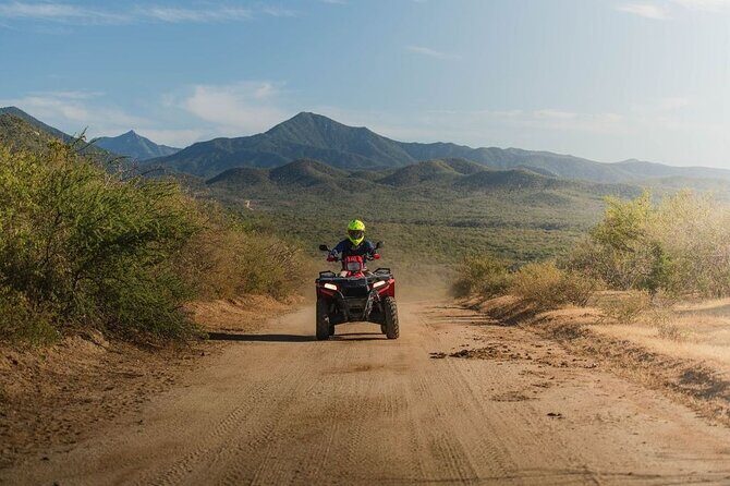 Ride the Wild Camel Safari and Off Road Rush - An In-depth Look at the Tour Experience