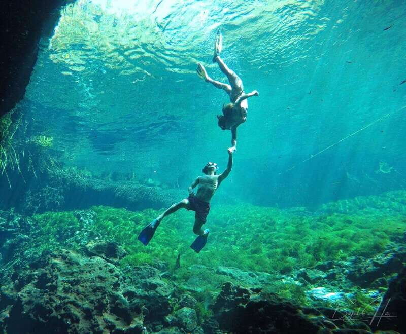 Ride to a life-changing cenotes tour - What Reviewers Are Saying