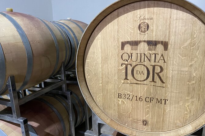 Ride & Wine: Scenic Quinta Da Tor Winery Electric Motorbike Tour - The Ride Itself: What to Expect
