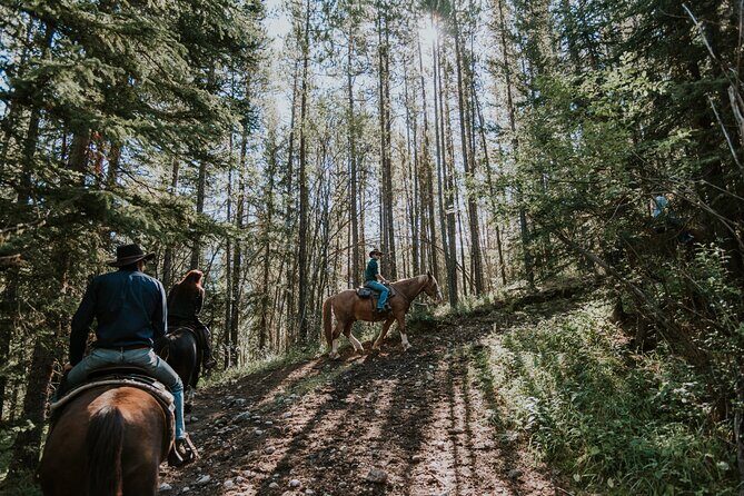 Ridge Ride 2-Hour Horseback Trail Ride in Kananaskis - Who This Ride Is Perfect For