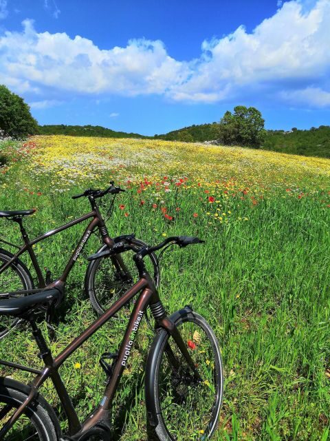 Riding to Alberobello and countryside with E-Bike - An In-Depth Look at the E-Bike Tour in Puglia