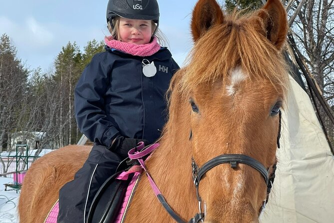 Riding Tour With Finnhorses at Santa Claus Village - Positive Reviews