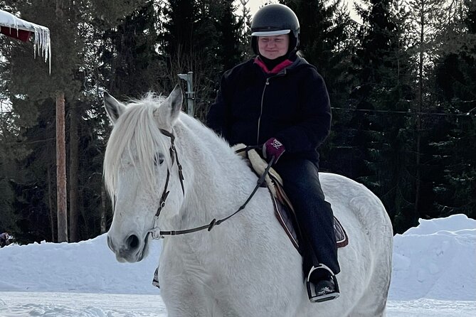 Riding Tour With Finnhorses at Santa Claus Village - Negative Review