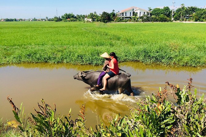 Riding Water Buffalo Hoi An Private Bike Tour - Pricing and Value