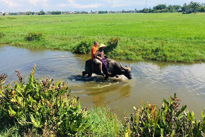 Riding Water Buffalo Hoi An Private Bike Tour - Who Is This Tour Best For?