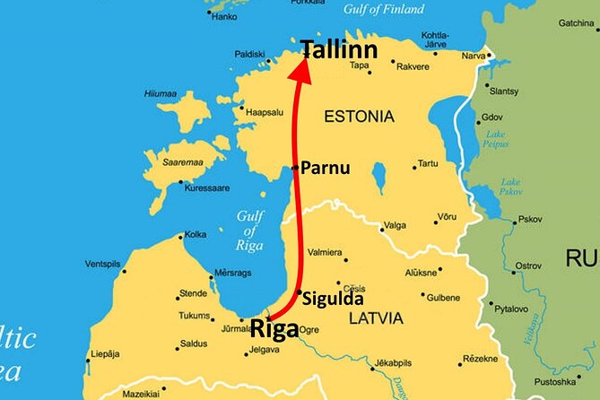 Riga to Tallinn - Sightseeing Transfer - Driver and Service Quality