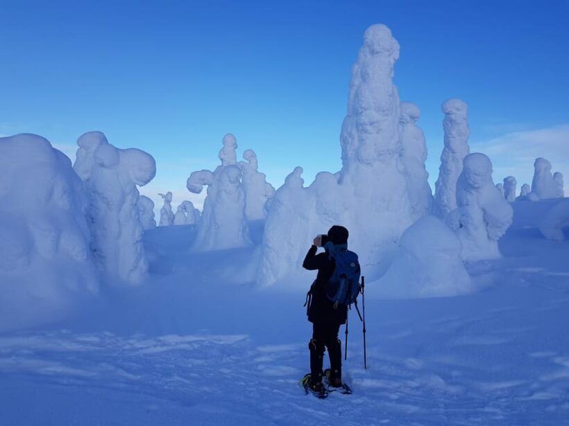 Riisitunturi National Park Snowshoe Experience - A Deep Dive into the Riisitunturi Snowshoe Tour