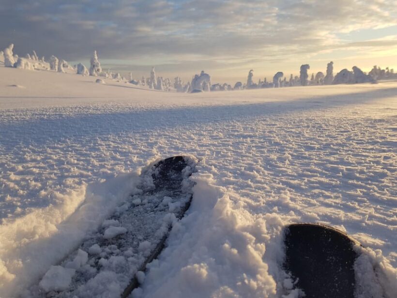 Riisitunturi National Park Snowshoe Experience - Final Thoughts