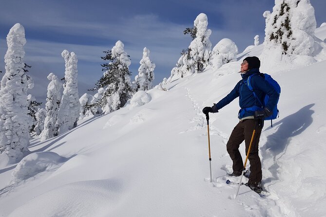 Riisitunturi National Park Snowshoe Experience - The Value and Practical Considerations