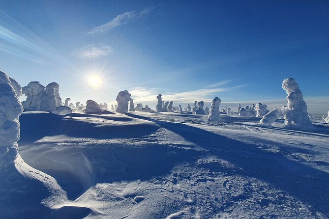 Riisitunturi National Park Snowshoe Experience - Who Should Consider This Tour?