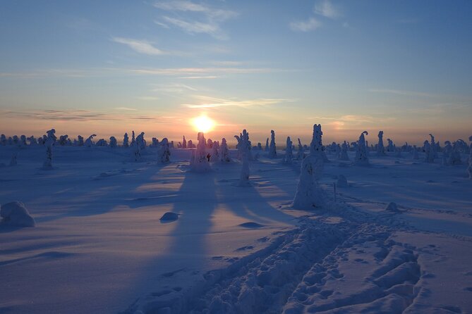 Riisitunturi National Park Snowshoe Experience - FAQ