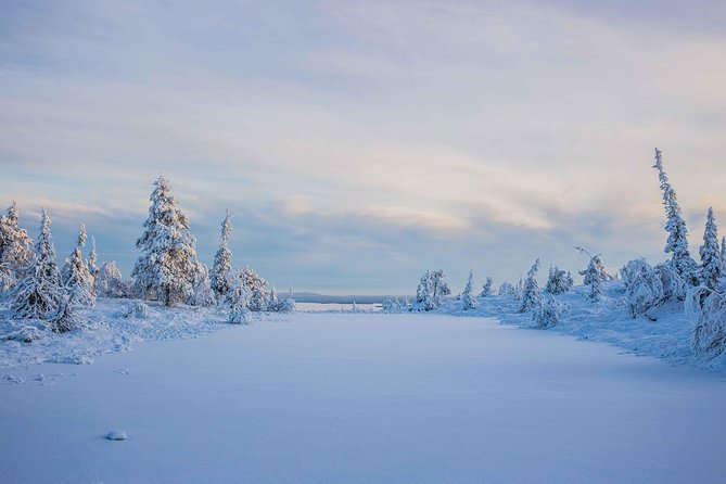 Riisitunturi Wilderness Adventure - Personalized Itinerary for Private Groups