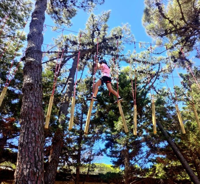 Rimini: Adventure Park Entry Ticket - What to Expect During Your Visit