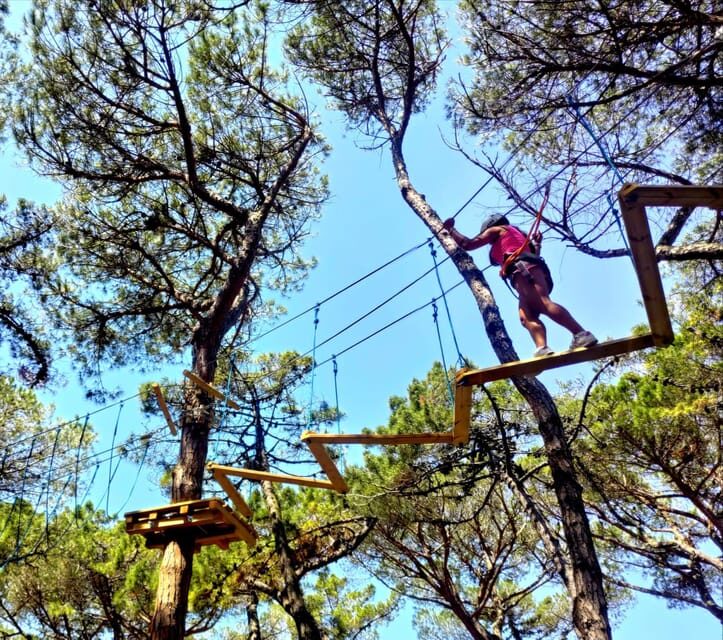 Rimini: Adventure Park Entry Ticket - Who Will Love This Experience?