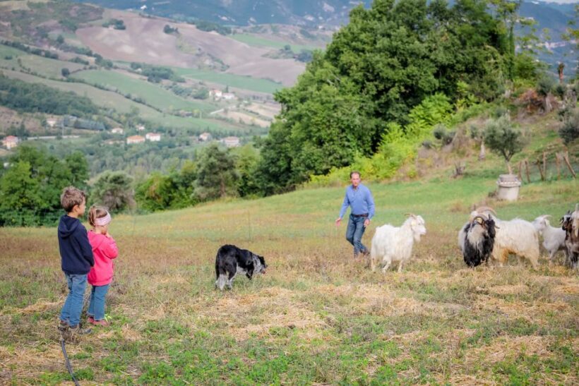 Rimini: San Leo Cashmere Farm Experience - FAQ