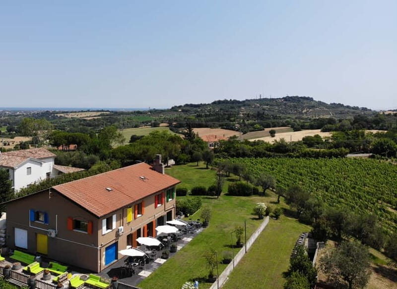 Rimini: San Valentino Vineyards Tour with DOC Wine Tastings - Key Points