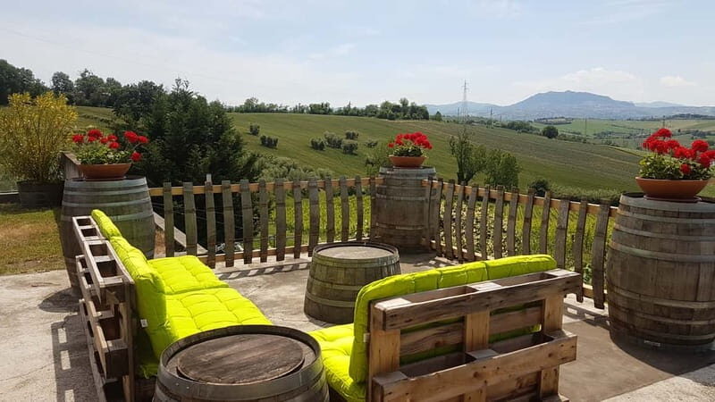 Rimini: San Valentino Vineyards Tour with DOC Wine Tastings - Guided Winery Tour