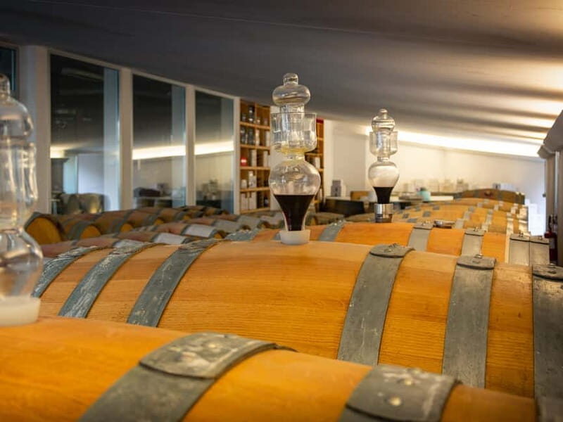 Rimini: San Valentino Vineyards Tour with DOC Wine Tastings - Food Pairings and Local Flavors