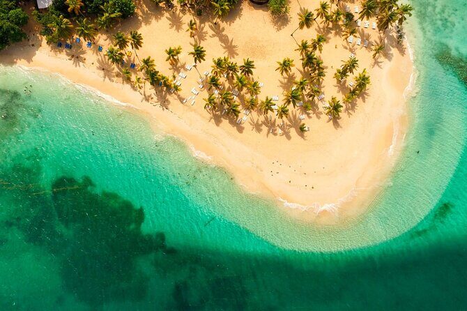 Rincon Beach and Cayo Levantado from Punta Cana - Overall Experience and Who It’s Perfect For