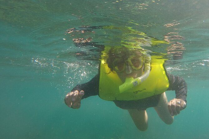 Rincon Snorkeling Adventure - The Value of This Snorkeling Tour