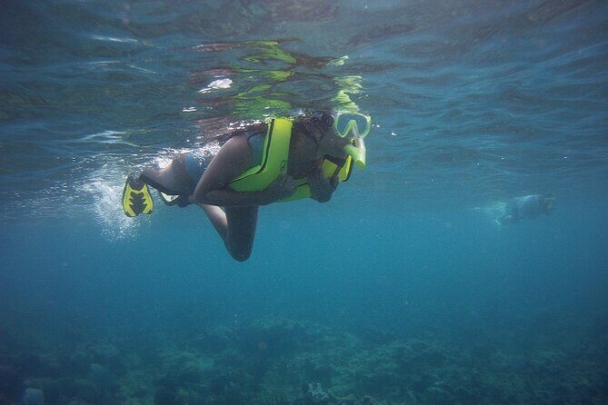 Rincon Snorkeling Adventure - Itinerary in Detail