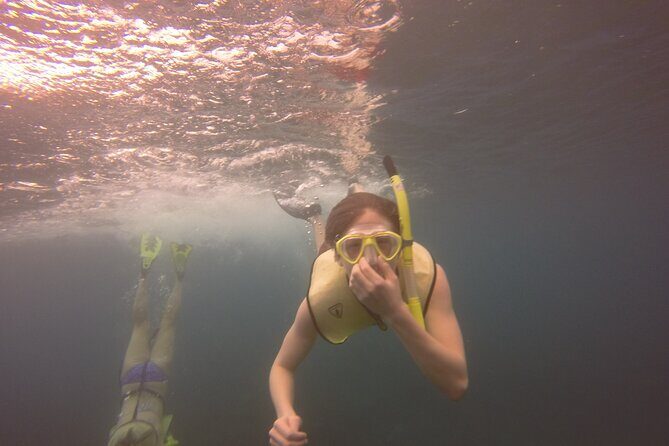 Rincon Snorkeling Adventure - Practical Tips for Travelers