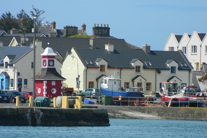 Ring of Kerry and Skellig Ring Private Tour - Who Will Love This Tour?