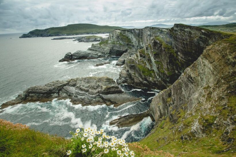 Ring of Kerry Full-Day Tour from Limerick - Who Would Enjoy This Tour?