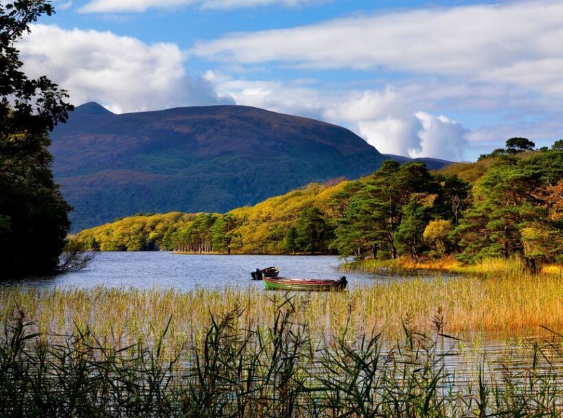 Ring of Kerry Full-Day Tour from Limerick - Final Thoughts: Who Should Consider This Tour?