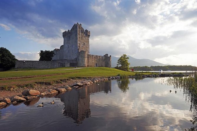 Ring of Kerry Private Tour From Killarney, Car or Minibus - Pricing and Availability