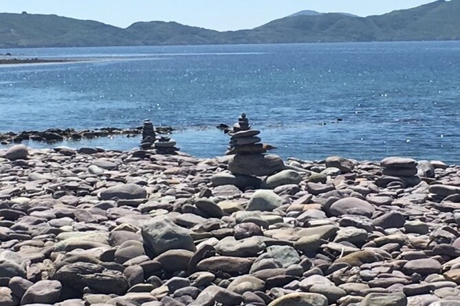 Ring of Kerry Private Tour From Killarney, Car or Minibus - Transportation and Accessibility