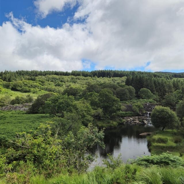 Ring of Kerry tour - An In-Depth Look at the Tour Experience
