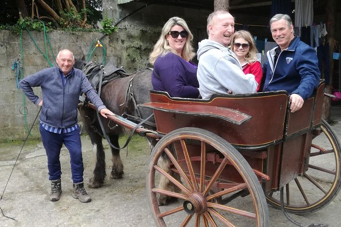 Ring of Kerry Tour Private Chauffeur Driven From Killarney Luxury - Inclusions and Pricing