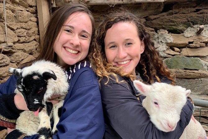 Ring of Kerry Tour Private Chauffeur Driven From Killarney Luxury - Dining and Refreshments