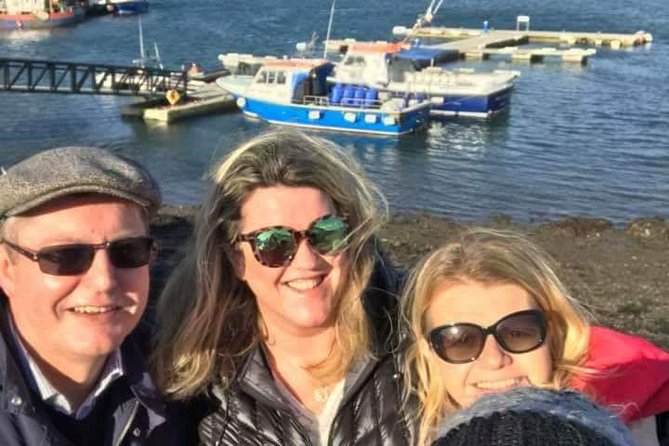 Ring of Kerry Tour Private Chauffeur Driven From Killarney Luxury - Booking and Logistics