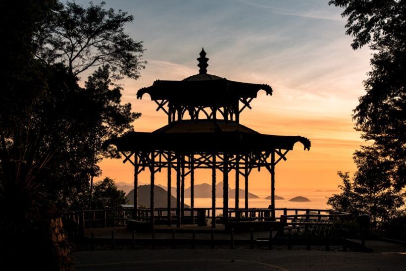 Rio: Botanical Garden, Tijuca Forest, and Parque Lage Tour - Who Will Love This Tour?