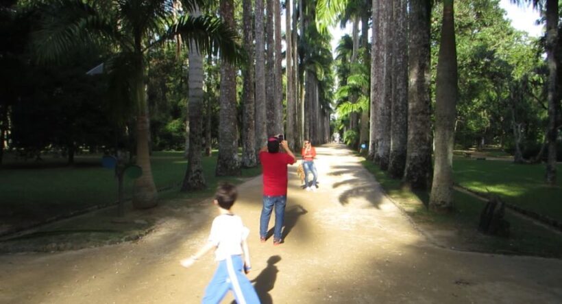 Rio: Botanical Garden, Tijuca Forest, and Parque Lage Tour - The Sum Up: Is It Worth It?