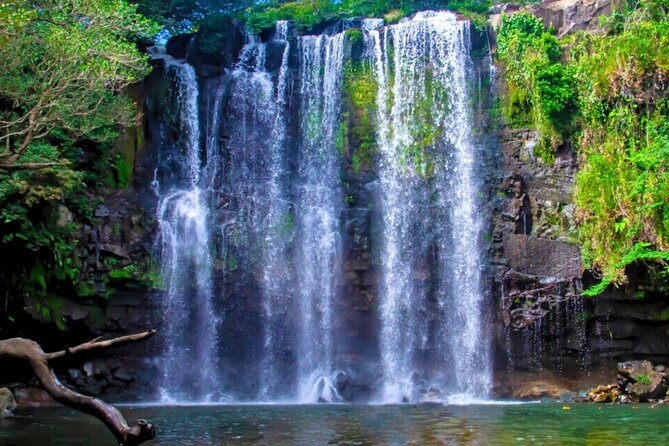 Rio Celeste Expedition Discovering Natures Treasures and Sloths - Booking and Cancellation Information