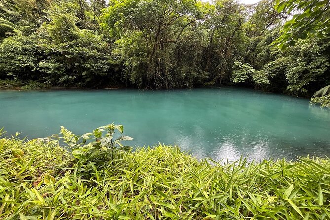 Rio Celeste Waterfall Plus Sloths and wildlife Sanctuary - The Bottom Line: Is It Worth It?