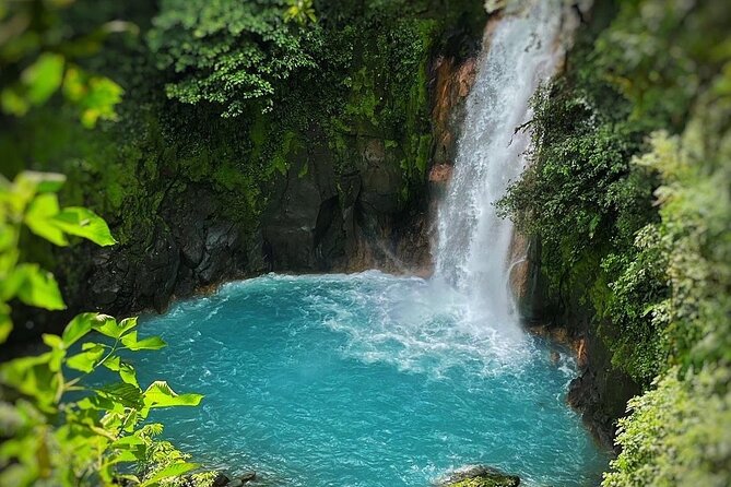Rio Celeste Waterfall Plus Sloths and Wildlife Sanctuary - Encountering Diverse Wildlife