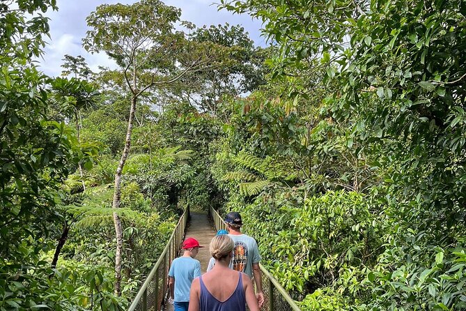 Rio Celeste Waterfall Plus Sloths and Wildlife Sanctuary - Learning About Costa Ricas Biodiversity