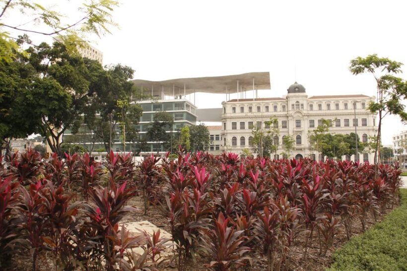 Rio de Janeiro: 4-Hour Afternoon Walking Tour - Final Thoughts: Is This Tour Right for You?