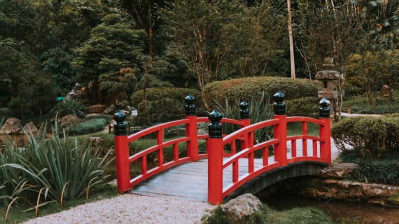 Rio de Janeiro: 4-Hour Botanical Garden & Tijuca Forest Tour - A Closer Look at the Tour Itself