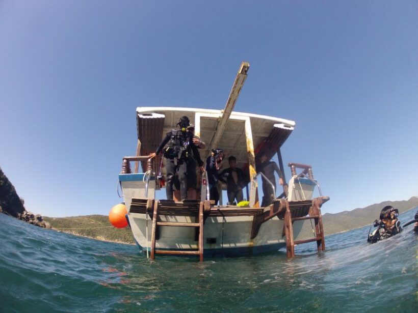 Rio de Janeiro: Arraial do Cabo Scuba Diving Day Trip - The Experience in Detail