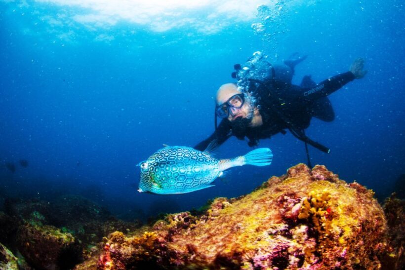 Rio de Janeiro: Arraial do Cabo Scuba Diving Day Trip - Final Thoughts