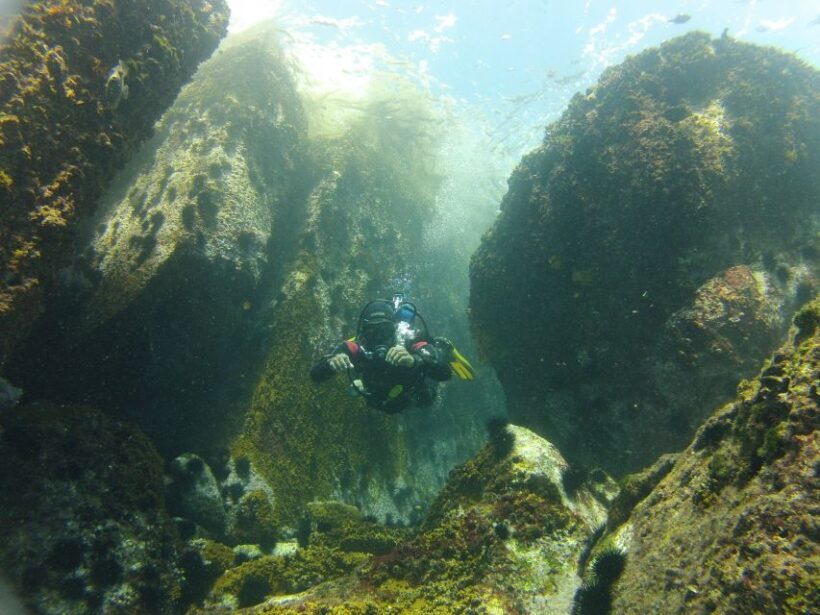 Rio de Janeiro: Arraial do Cabo Scuba Diving Day Trip - FAQs