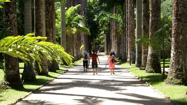Rio de Janeiro: Botanical Garden Guided Visit - Key Points